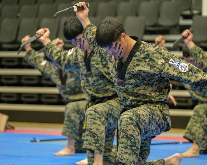 Ειδικά προγράμματα :: COMBAT HAPKIDO TRAINING